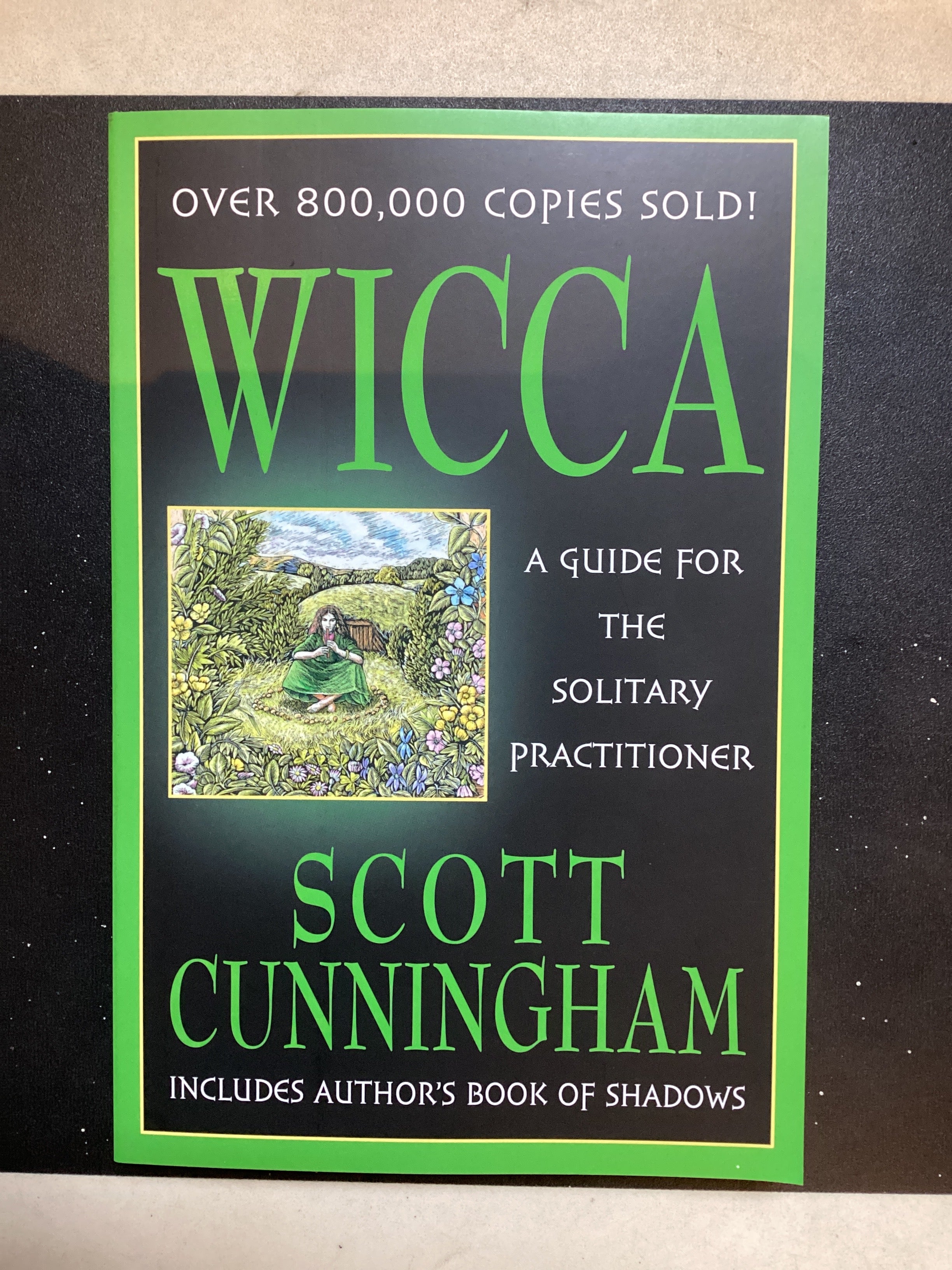 Wicca: A Guide for the Solitary Practitioner – Wheel of Fate